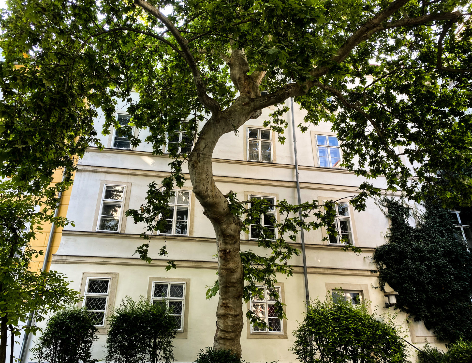 Versteckte Schönheiten: Geheimgänge und Innenhöfe in Wien